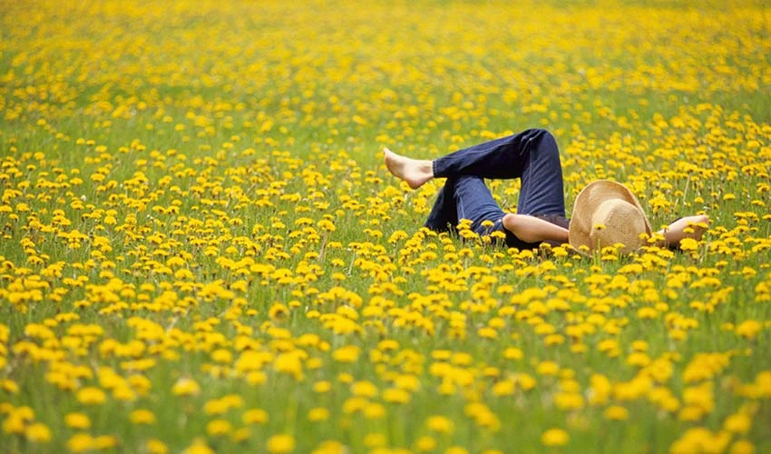 Participant Corner: Need a Tax Break? | Accelerate Retirement